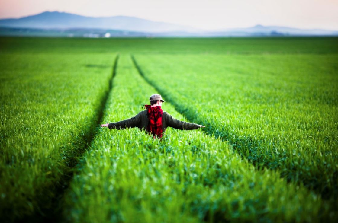 Learn & Act Page | Zeigo Hub